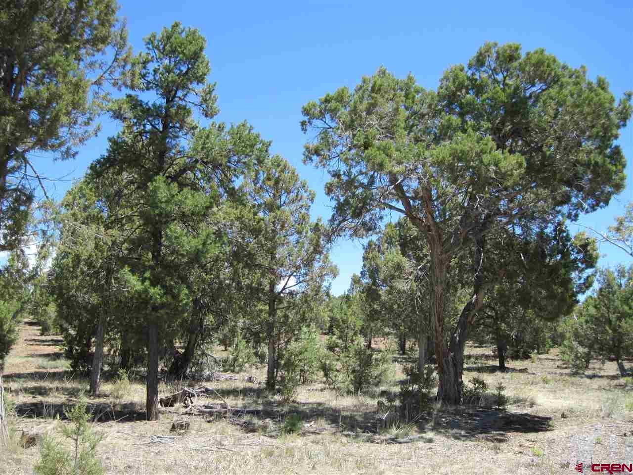 TBD L2 Squaw Apple, Durango, CO 81301 - SOLD LISTING | MLS # 777563