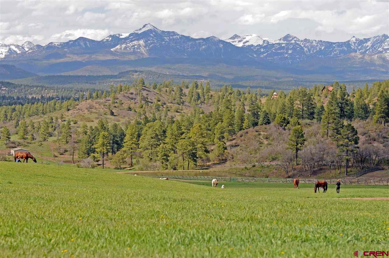 Colorado Ranches for Sale - Galles Properties