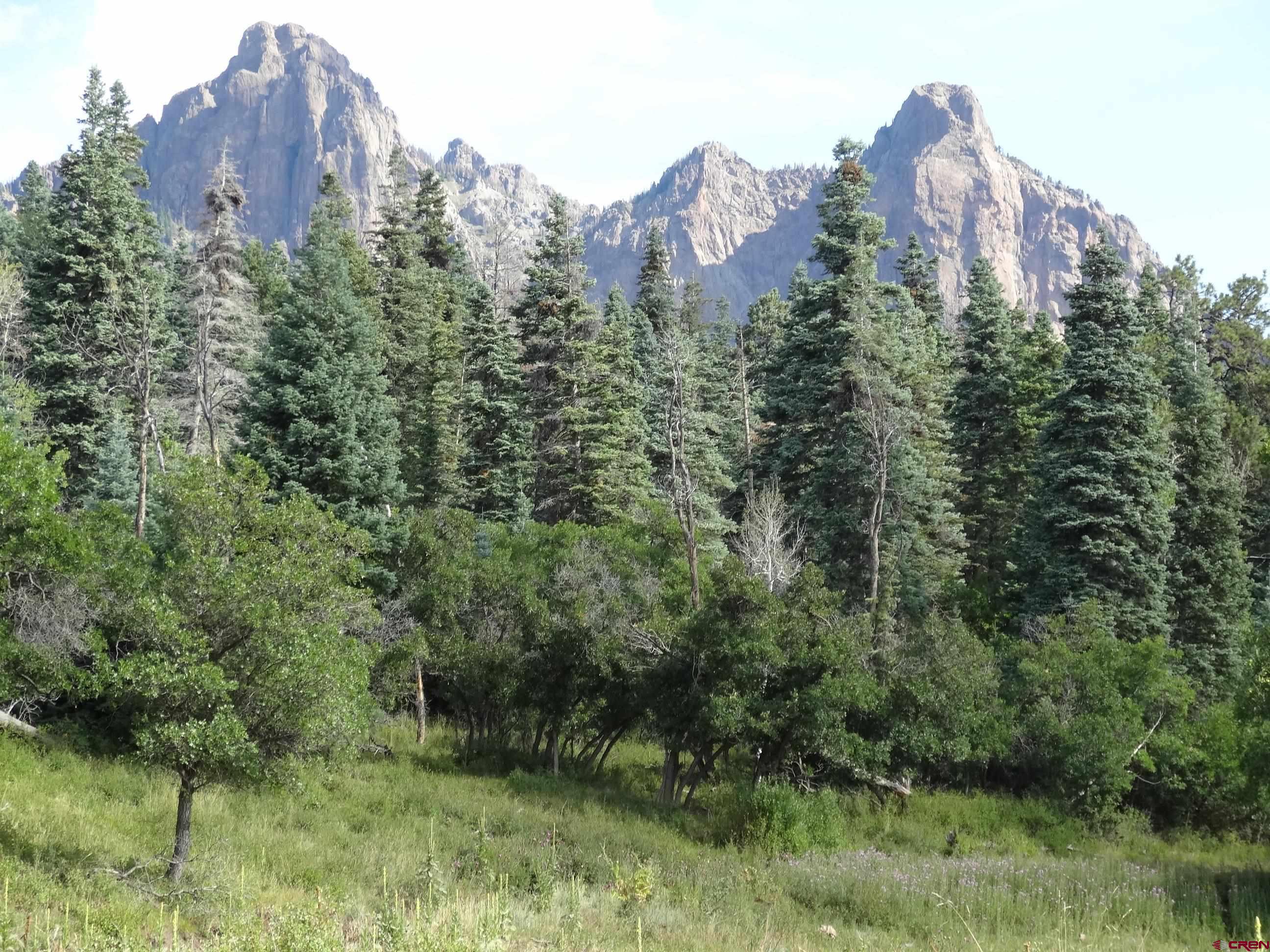 Colorado Ranches for Sale - Galles Properties