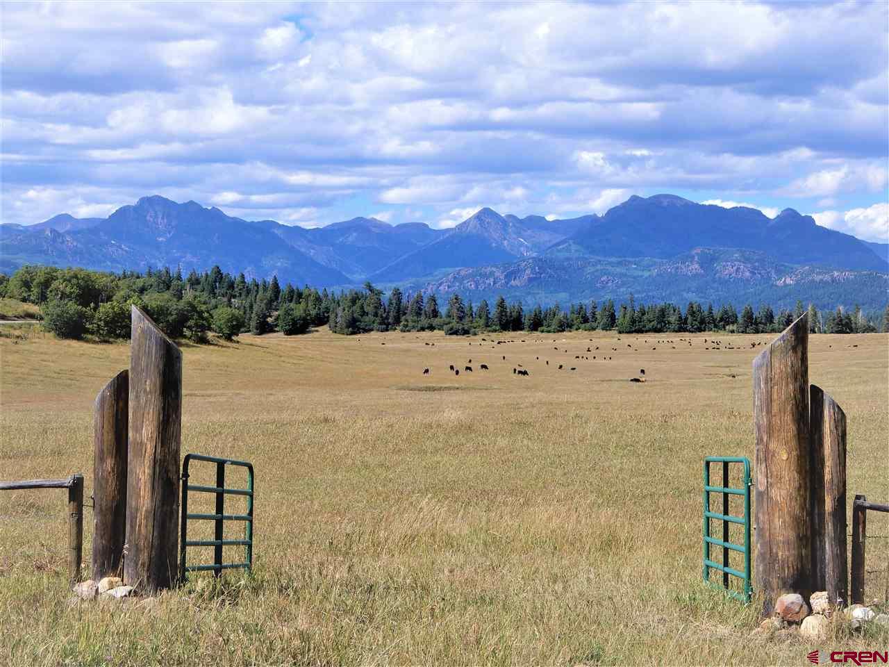 Colorado Ranches for Sale - Galles Properties