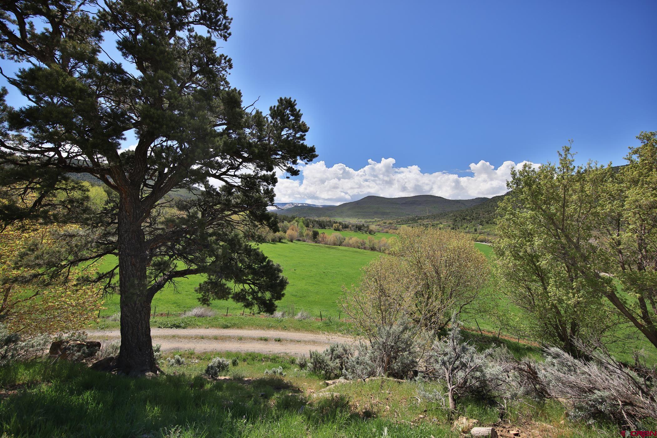 61254 Salt Creek Road Collbran CO 81624 | Active
