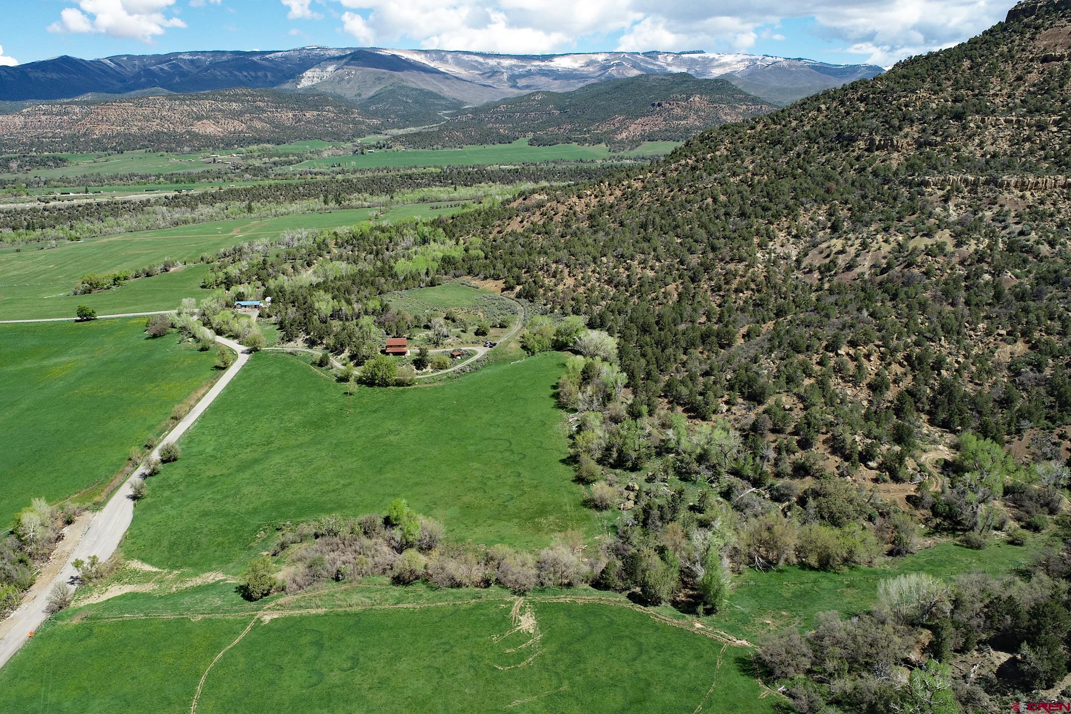 61254 Salt Creek Road Collbran CO 81624 | Active