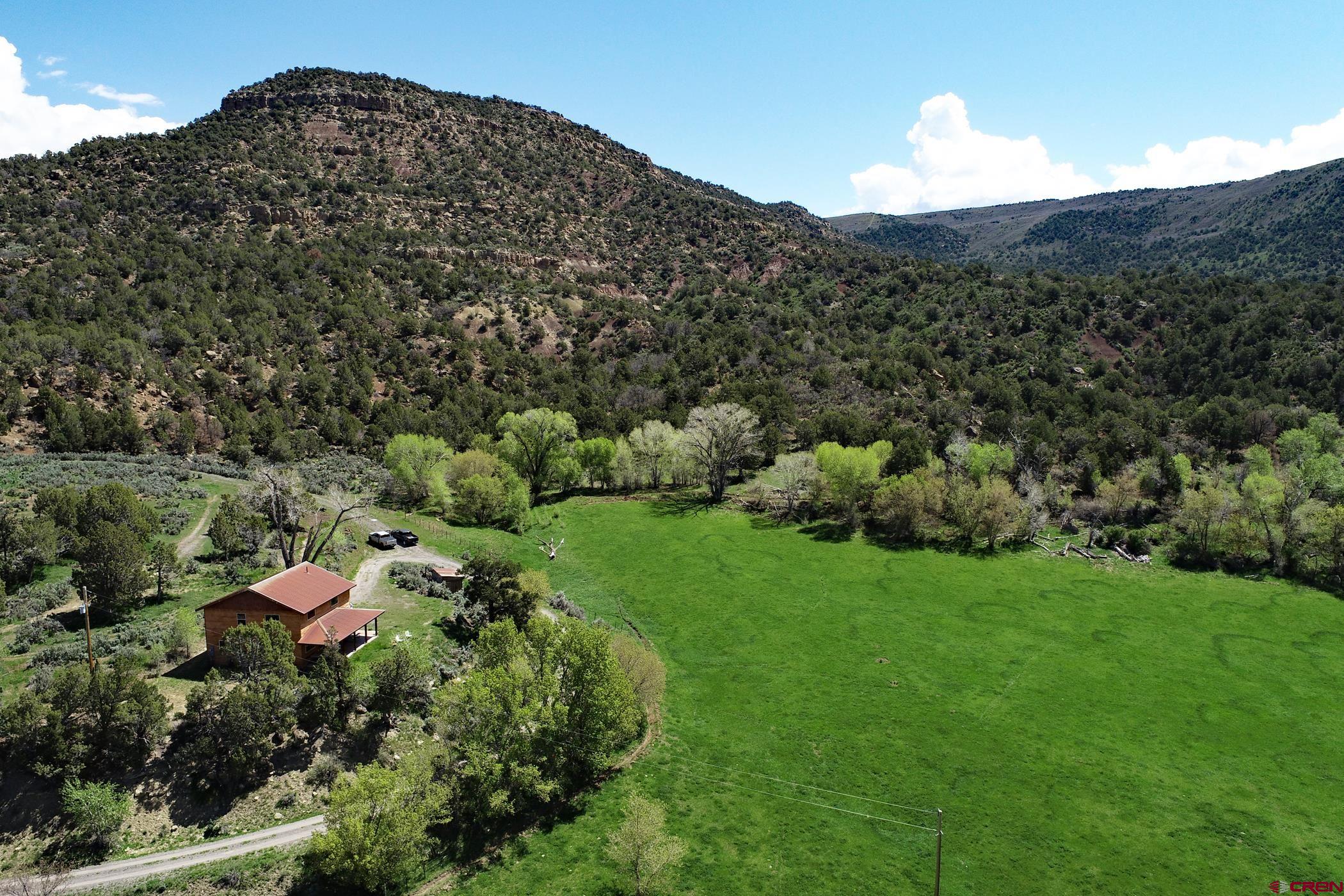 61254 Salt Creek Road Collbran CO 81624 | Active