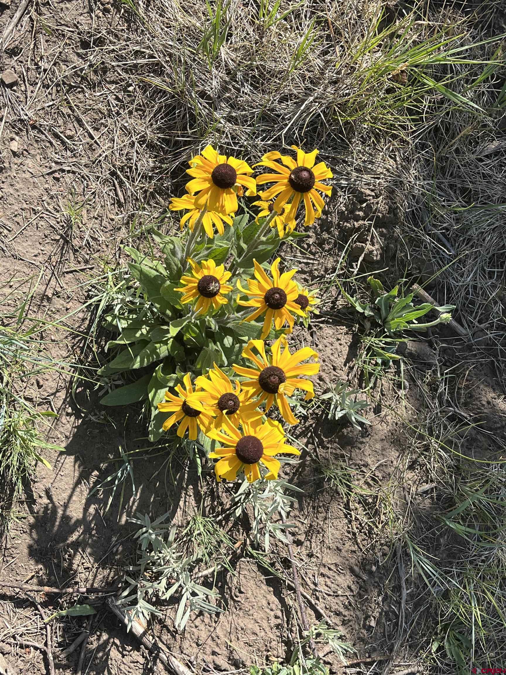 Forbes Wagon Creek Ranches at Eva Sherwin blog
