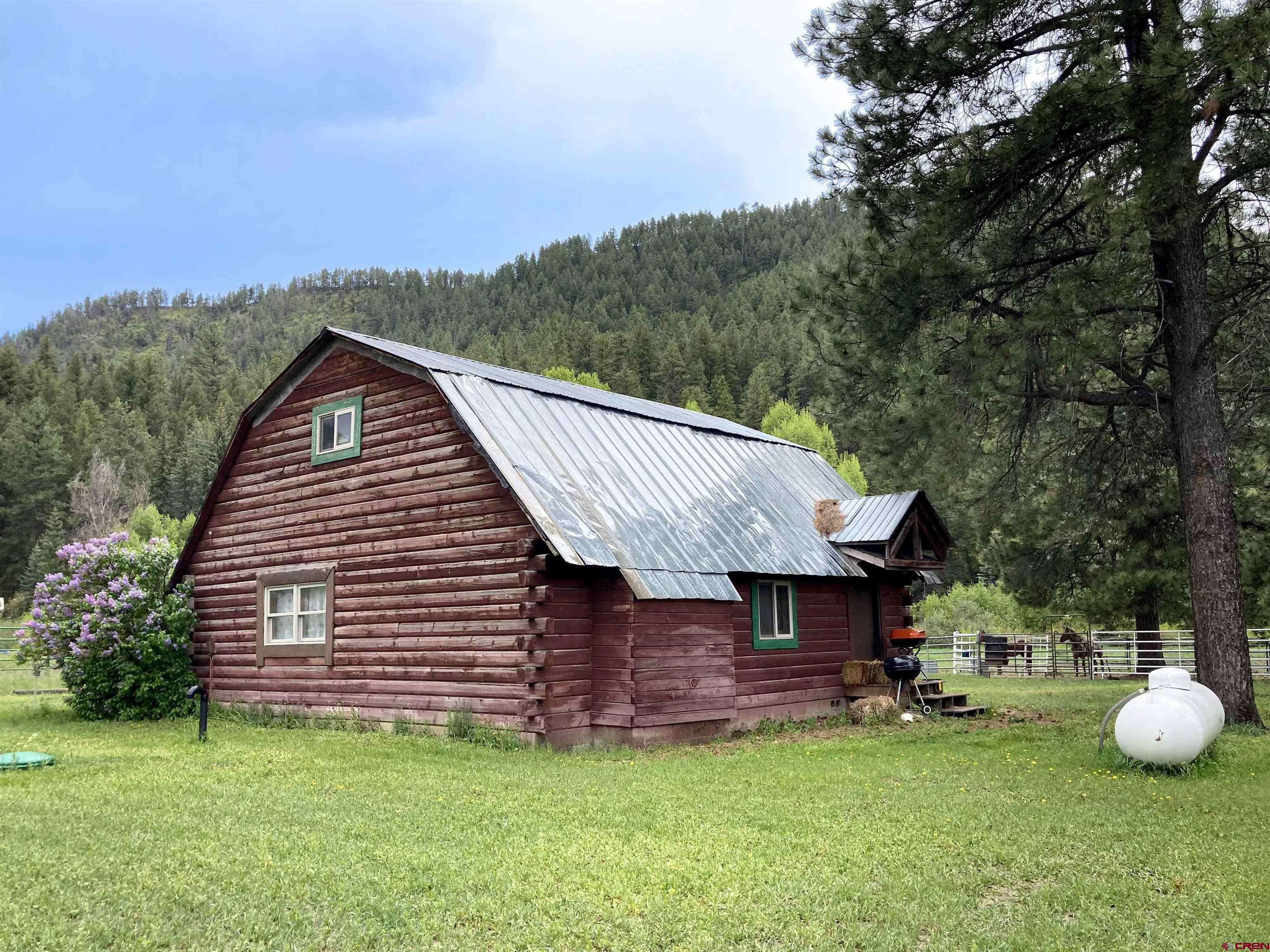708 ROBERT’S PLACE, PAGOSA SPRINGS, CO 81147 — Team Murphy Realty
