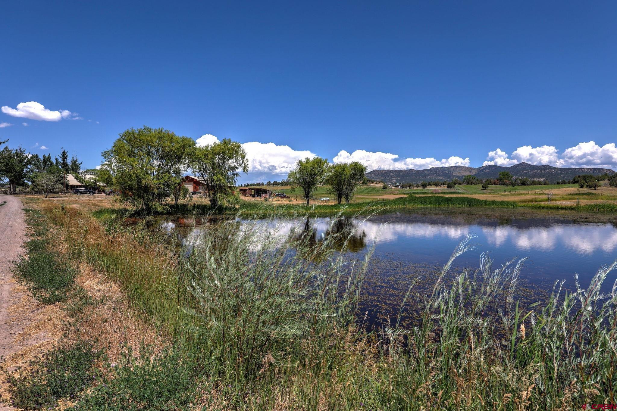 270 Railroad Court Arboles CO 81121 | Sold