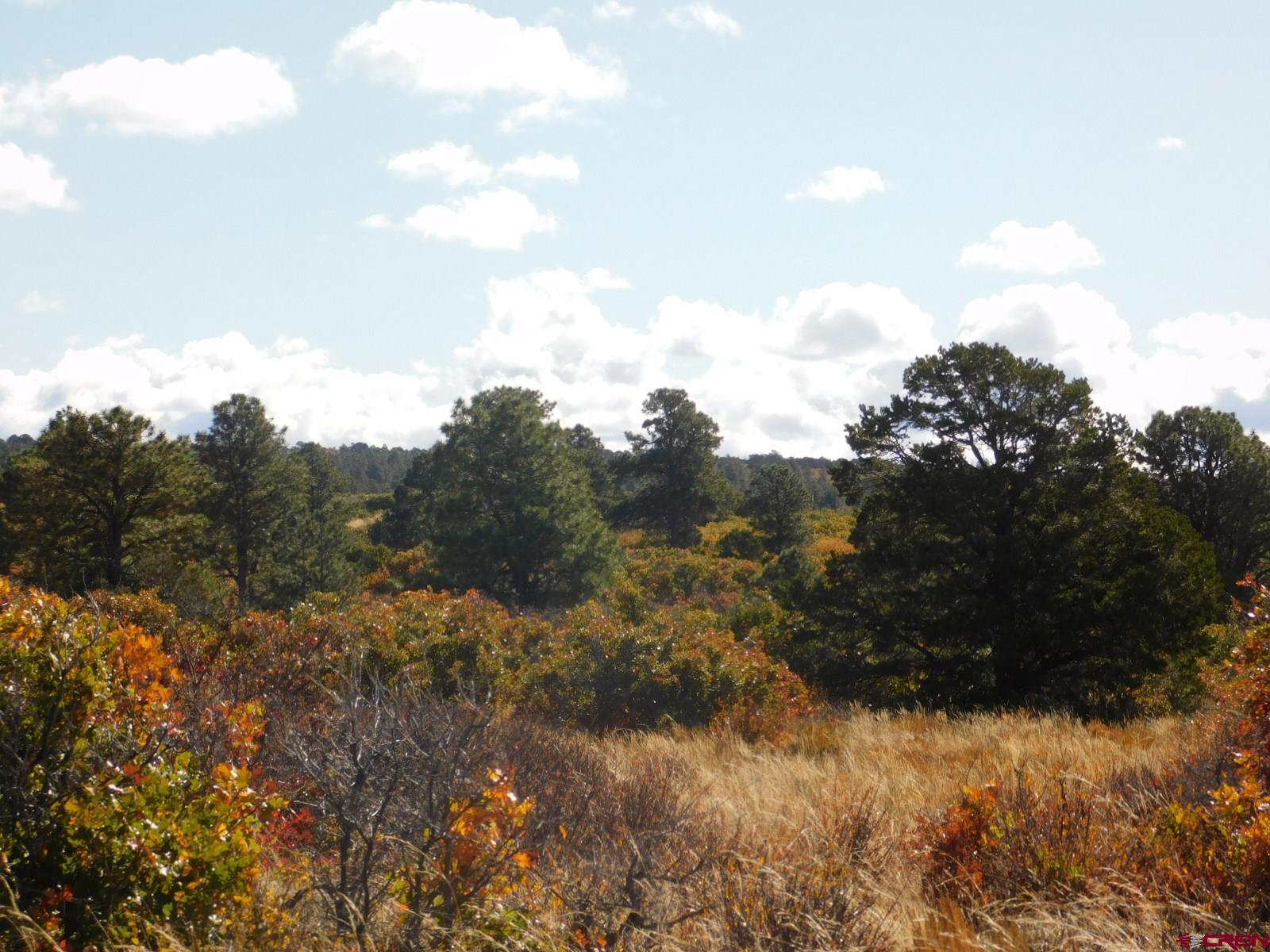 3705 Road 10.8 Dove Creek CO 81324 | Active