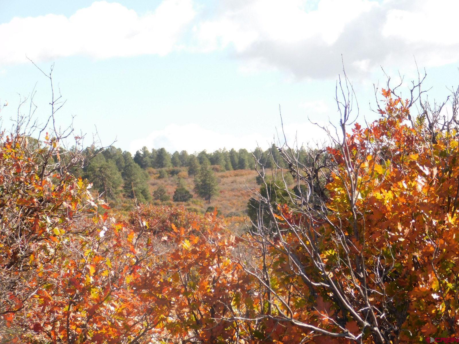 3705 Road 10.8 Dove Creek CO 81324 | Active