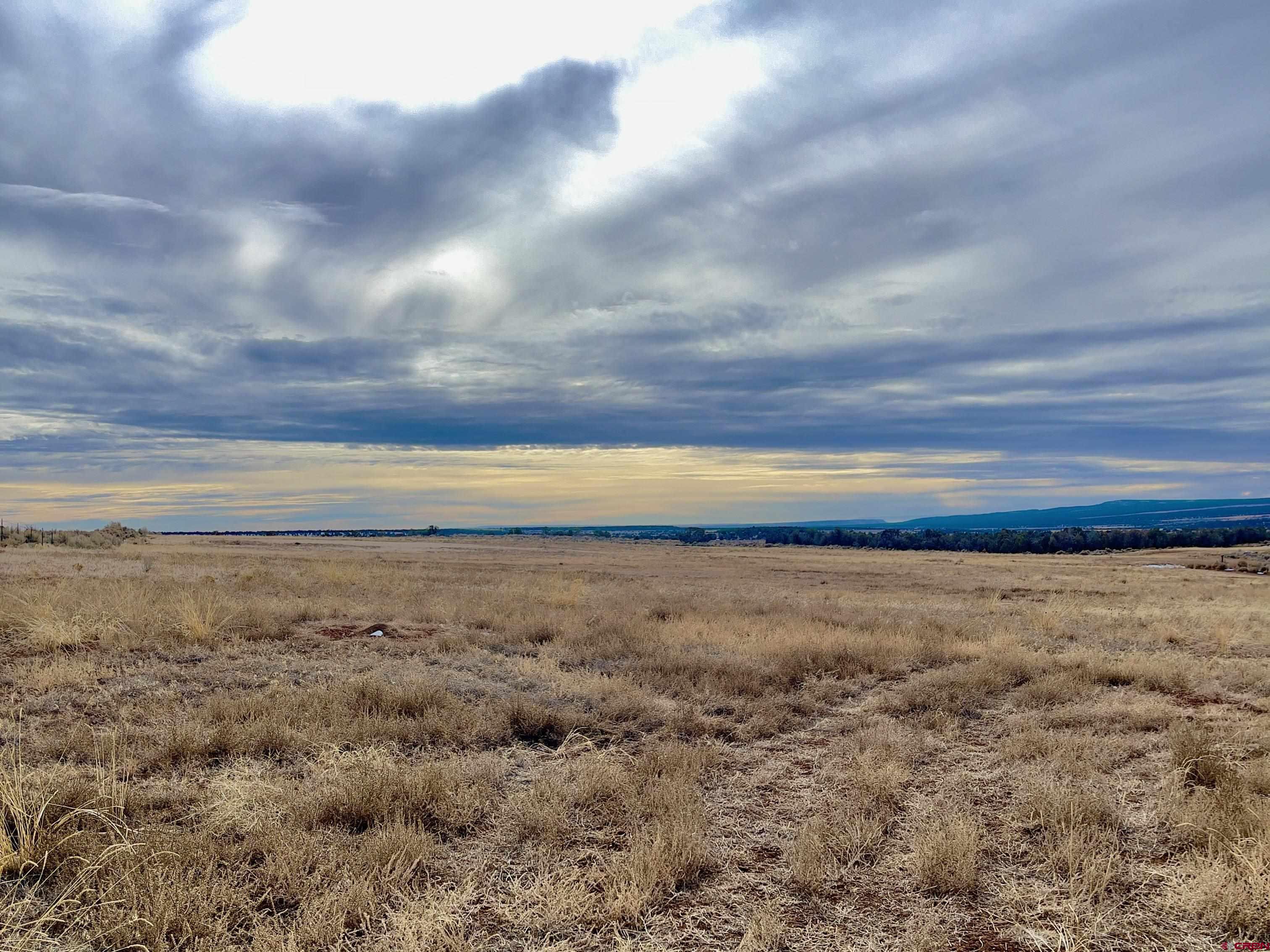 3 County Road 101, Hesperus, CO 81326 - SOLD LISTING | MLS # 809858