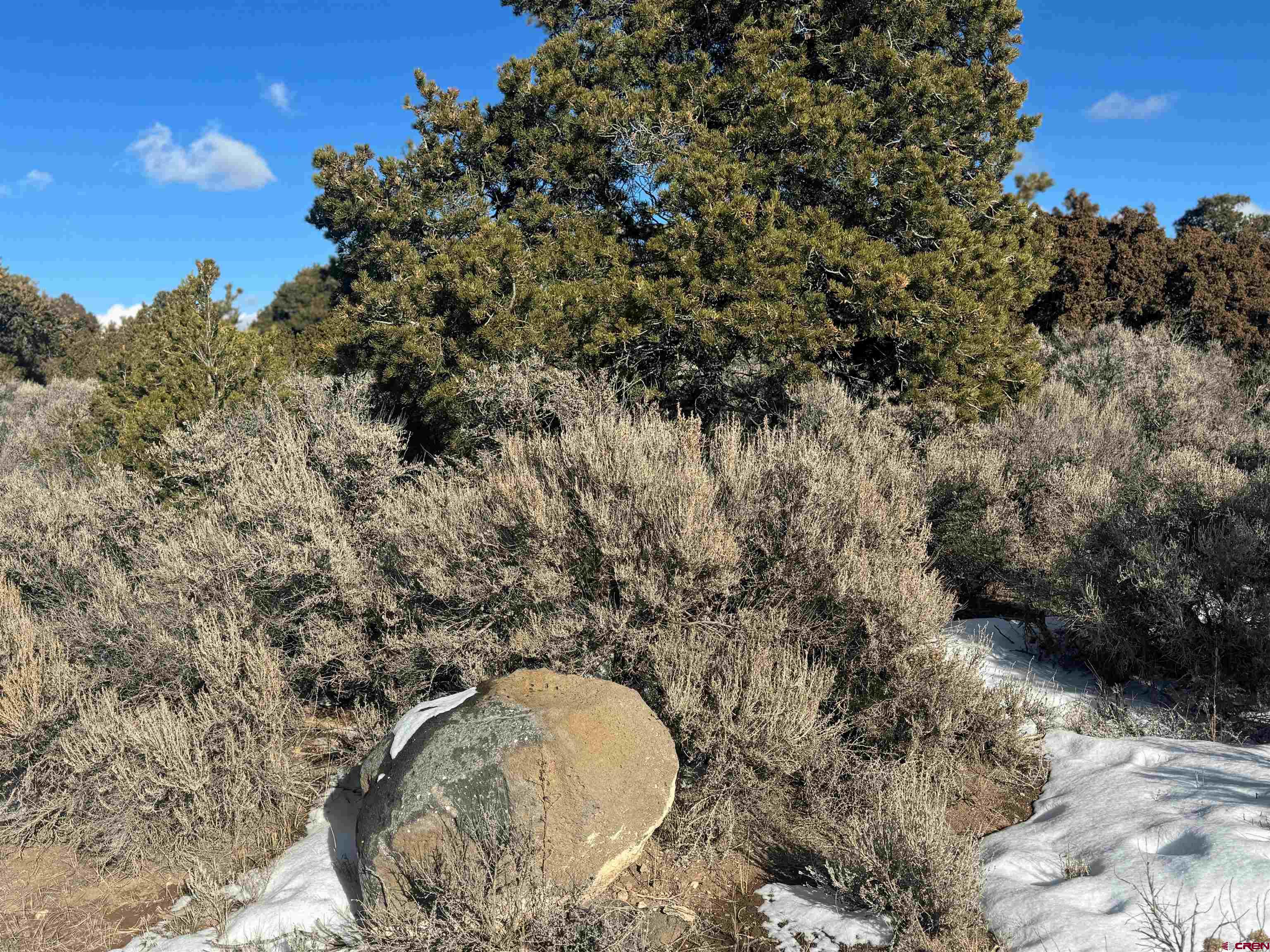 Wildhorse Drive San Luis CO 81152 | Active